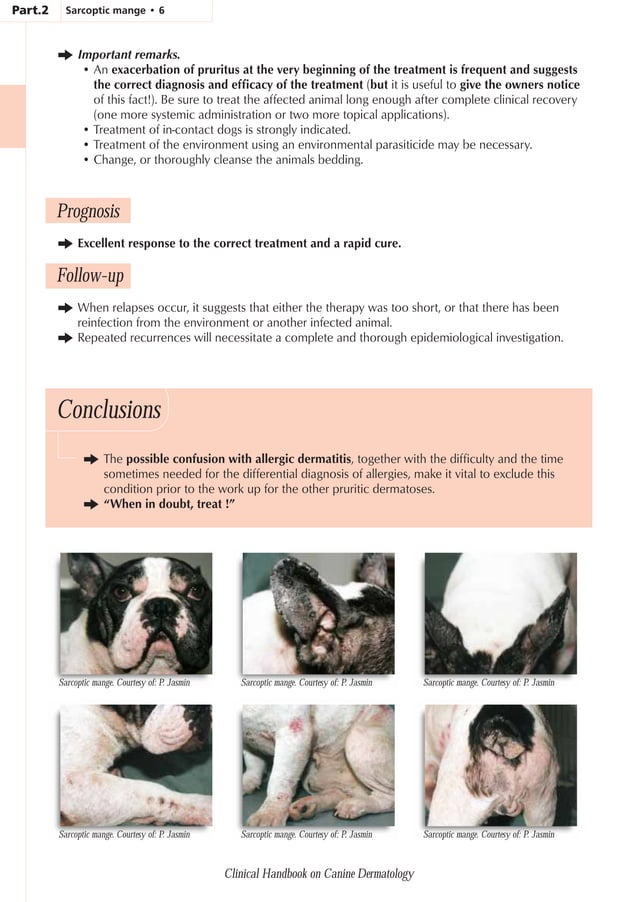 Clinical_Handbook_on_Canine_Dermatology.pdf