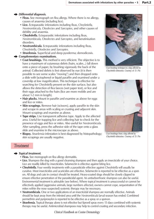 Clinical_Handbook_on_Canine_Dermatology.pdf