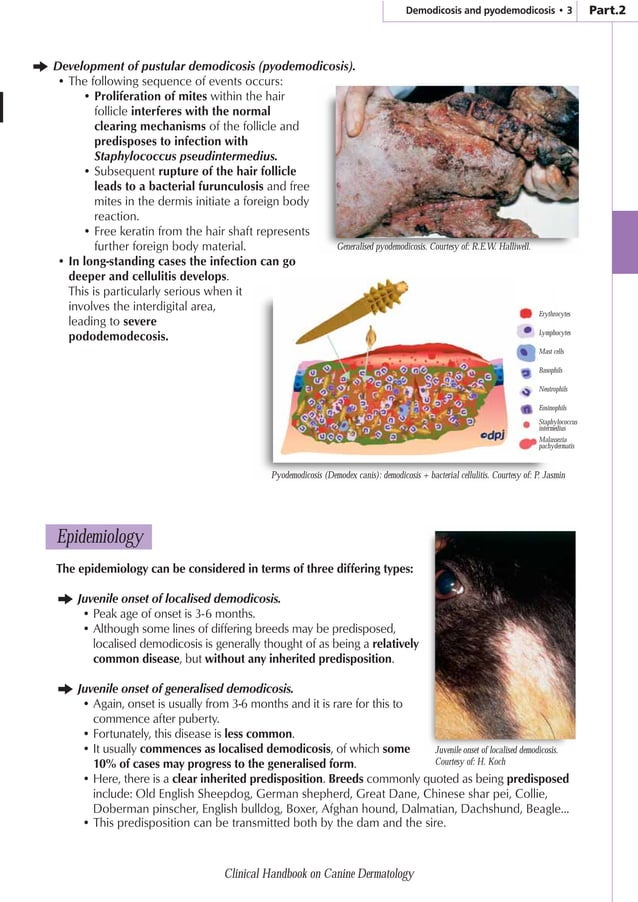 Clinical_Handbook_on_Canine_Dermatology.pdf