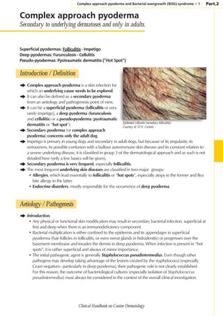 Clinical_Handbook_on_Canine_Dermatology.pdf