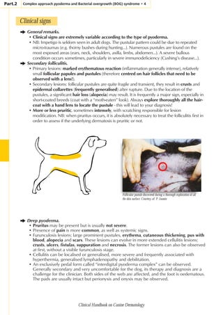 Clinical_Handbook_on_Canine_Dermatology.pdf