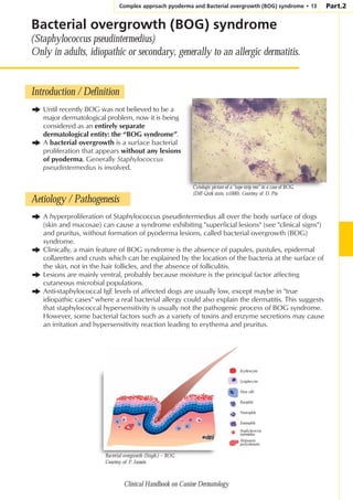 Clinical_Handbook_on_Canine_Dermatology.pdf