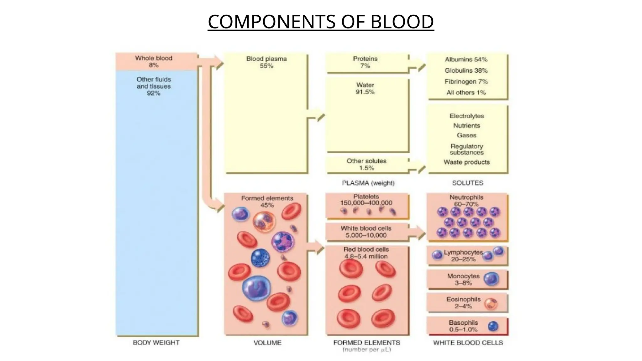 clinical hematology blood cells count.pptx