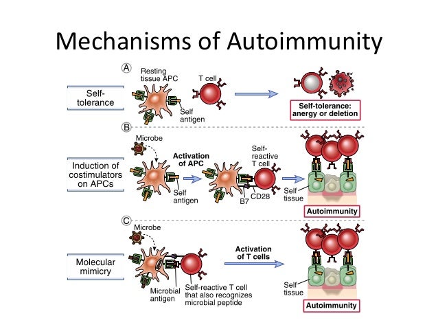 Clinical immunology