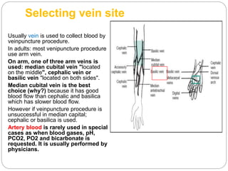Clinical immunology lab and phlebotomy | PPTX