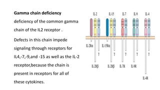 Clinical immunology vinmukil | PPT