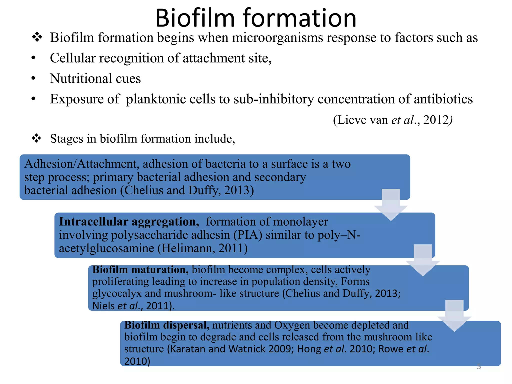 Clinical implications of bacterial biofilms | PPTX