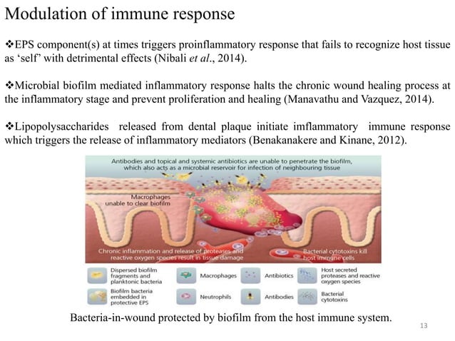 Clinical implications of bacterial biofilms | PPTX