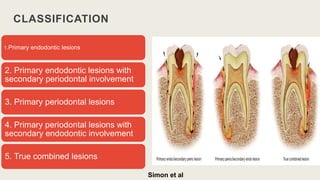 CLINICAL IMPLICATIONS OF ENDOPERIO LESIONS.pptx