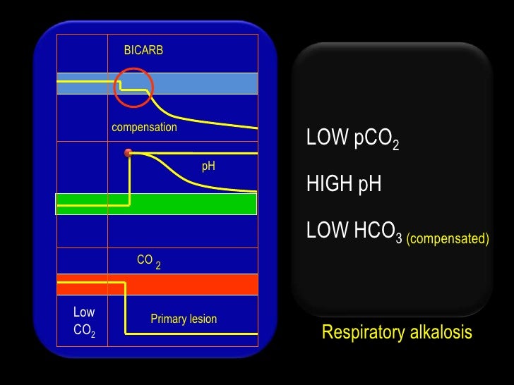 Clinical Interpretation Of Abg