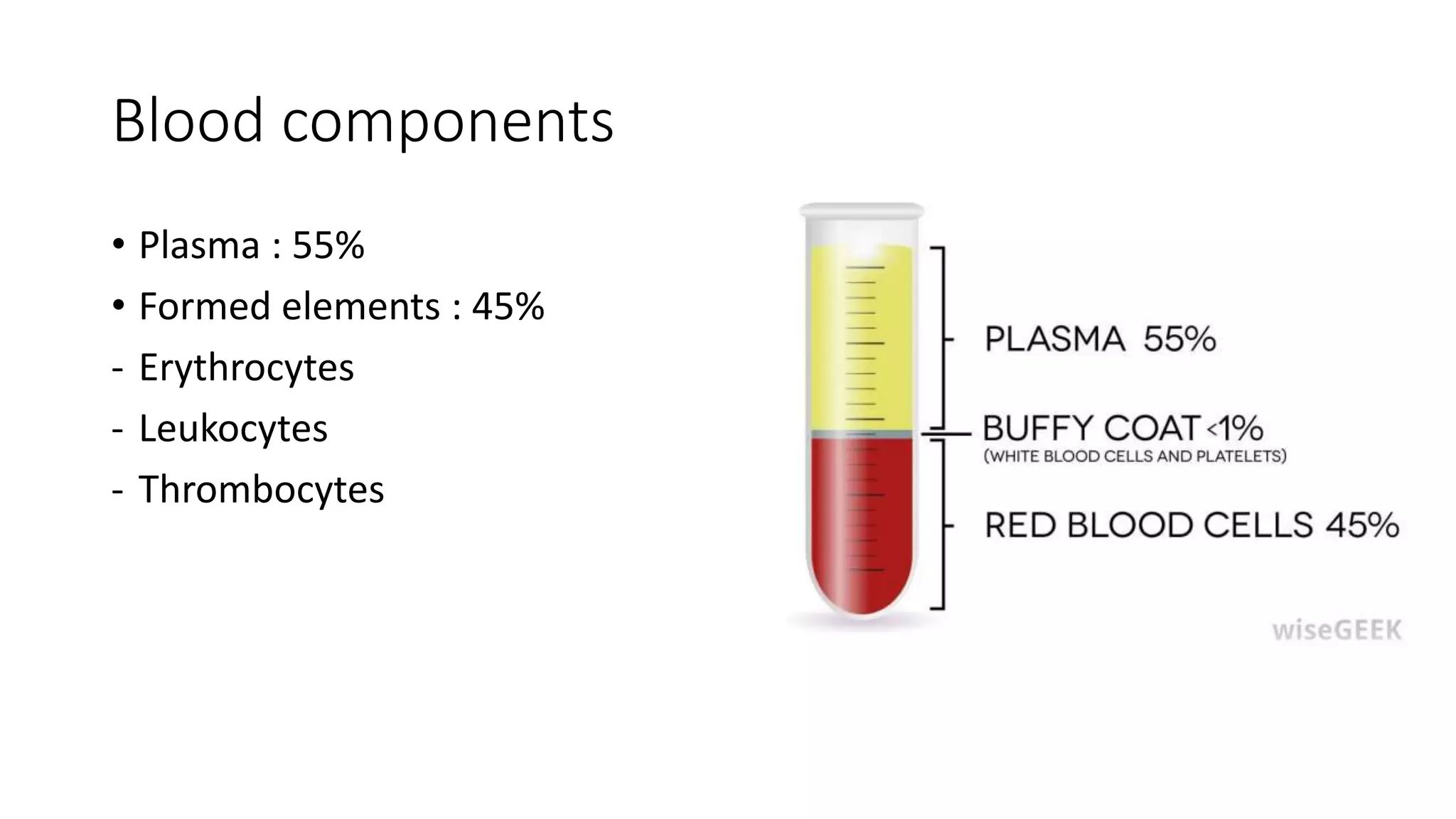 Clinical interpretation of cbc | PPTX
