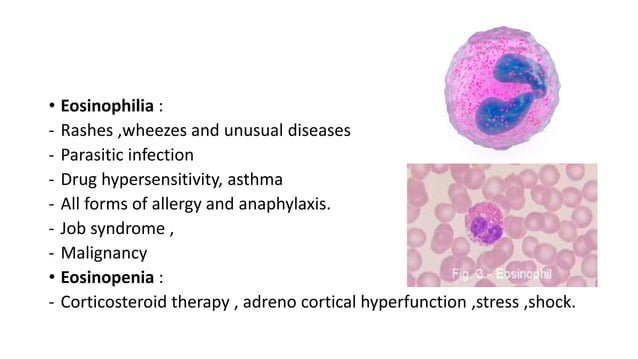 Clinical interpretation of cbc | PPTX