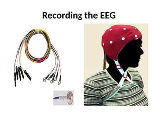 clinical interpretation of eeg and disease based interpretation .pptx