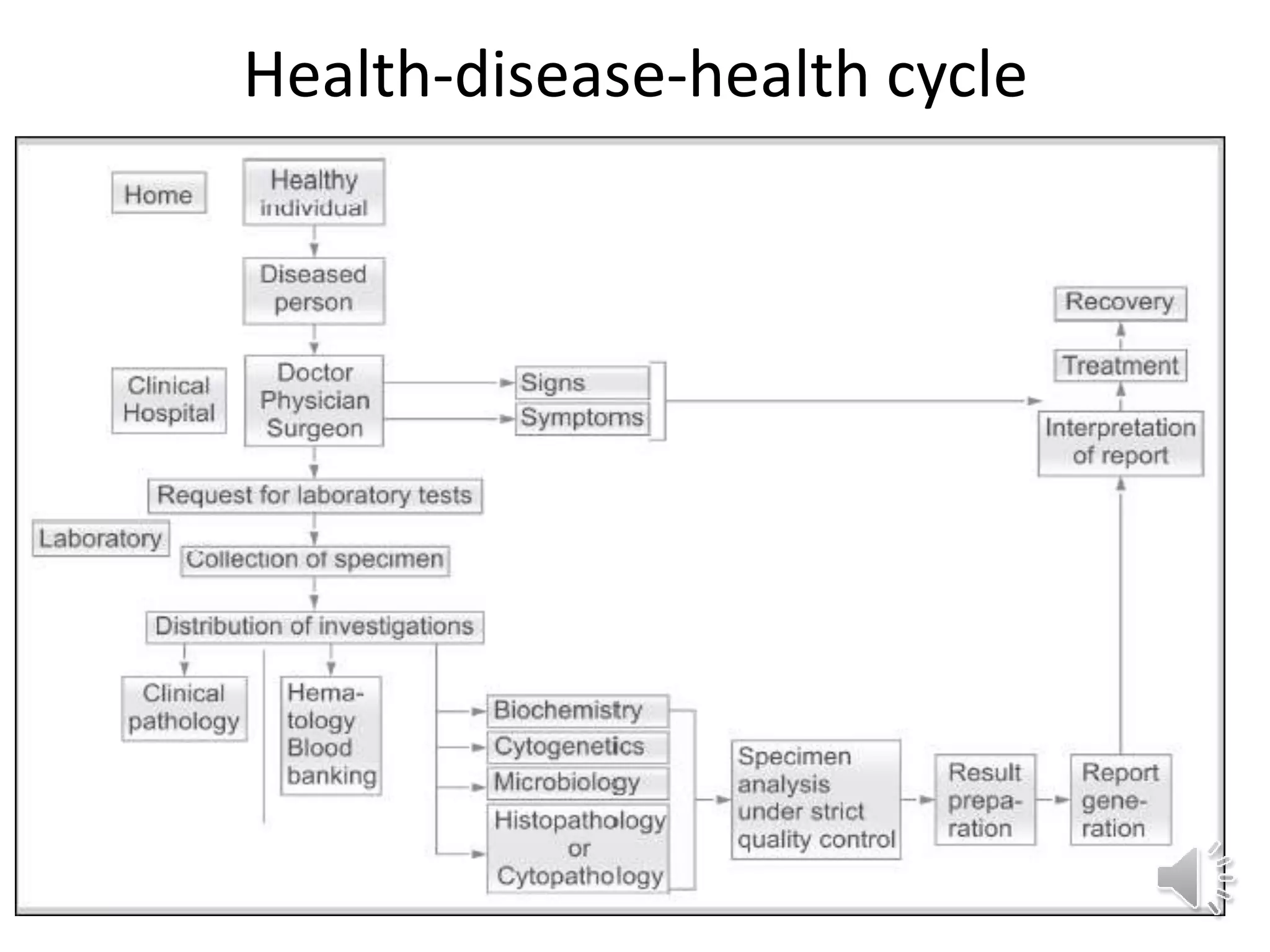 Clinical laboratory workflow - 9.pptx