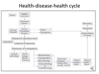 Clinical laboratory workflow - 9.pptx
