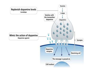 Clinical Pharmacy - Drug Profile of Levodopa | PPTX