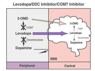 Clinical Pharmacy - Drug Profile of Levodopa | PPTX