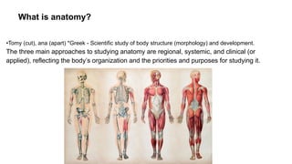 Clinically Oriented Anatomy - Clinically | PPTX
