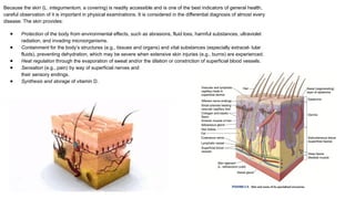 Clinically Oriented Anatomy - Clinically | PPTX