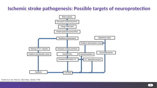 Clinical_Management_of_Acute_Ischemic_Stroke_&_Role_of_Nootropic_Agent ...