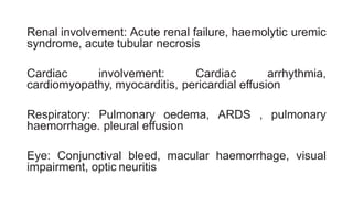 Clinical Management of Dengue fever.pptx