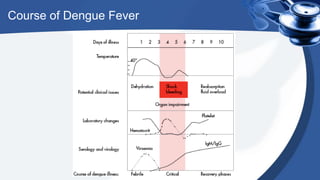 Clinical management of dengue in the primary care | PPTX