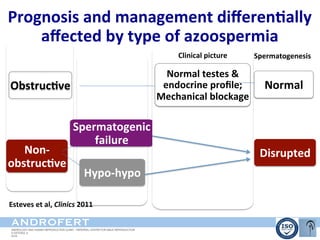 Clinical management of men with nonobstructive azoospermia ...