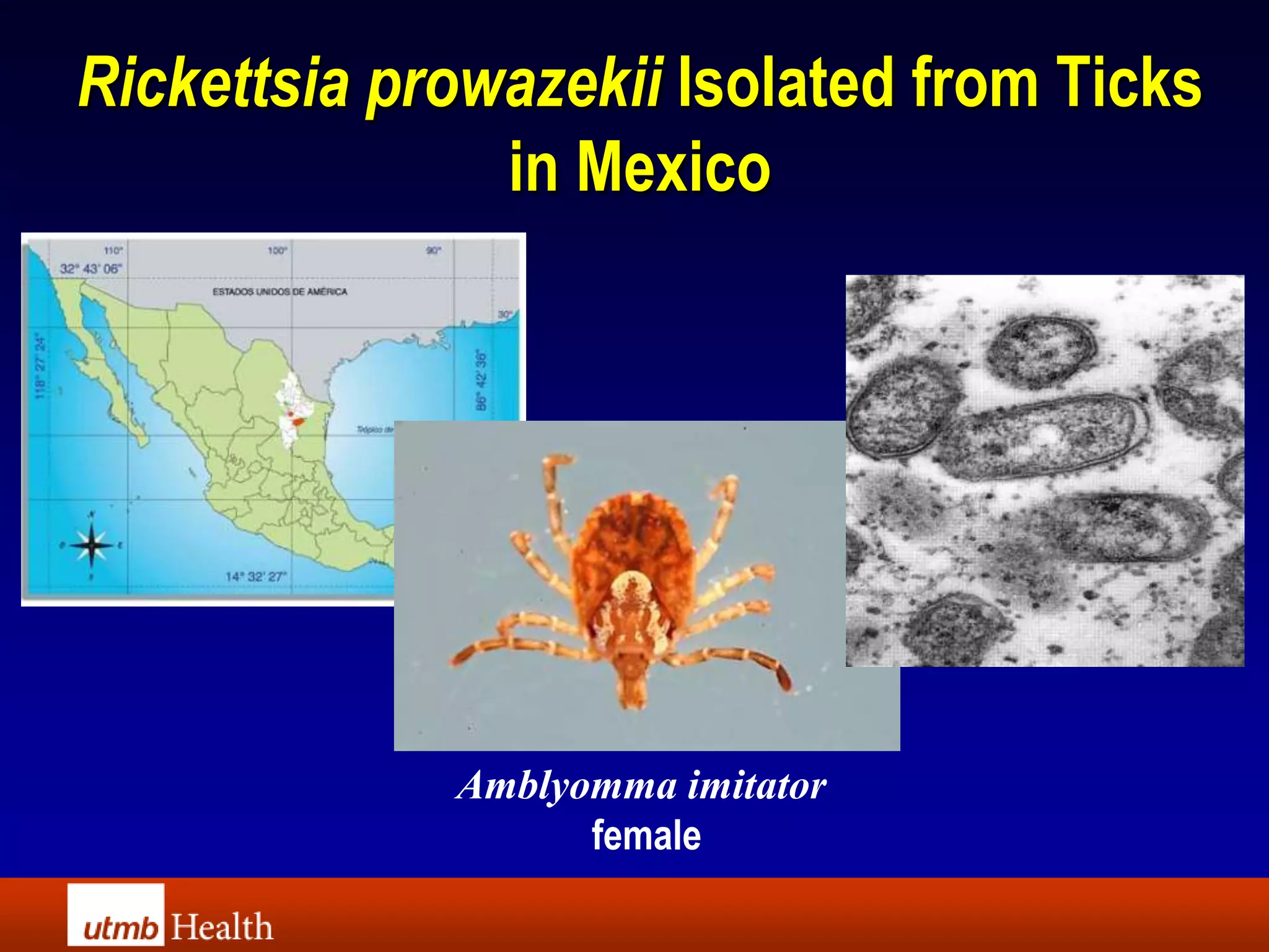 Clinical Manifestation and Pathogenesis of Obligately Intracellular ...
