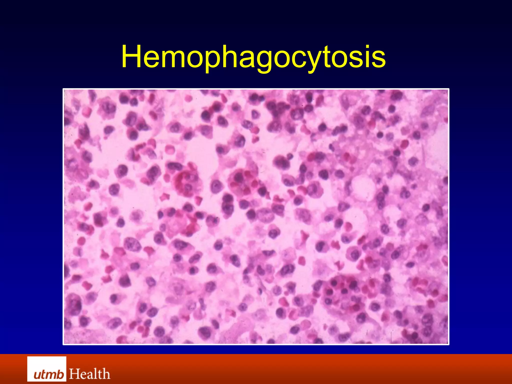 Clinical Manifestation and Pathogenesis of Obligately Intracellular ...