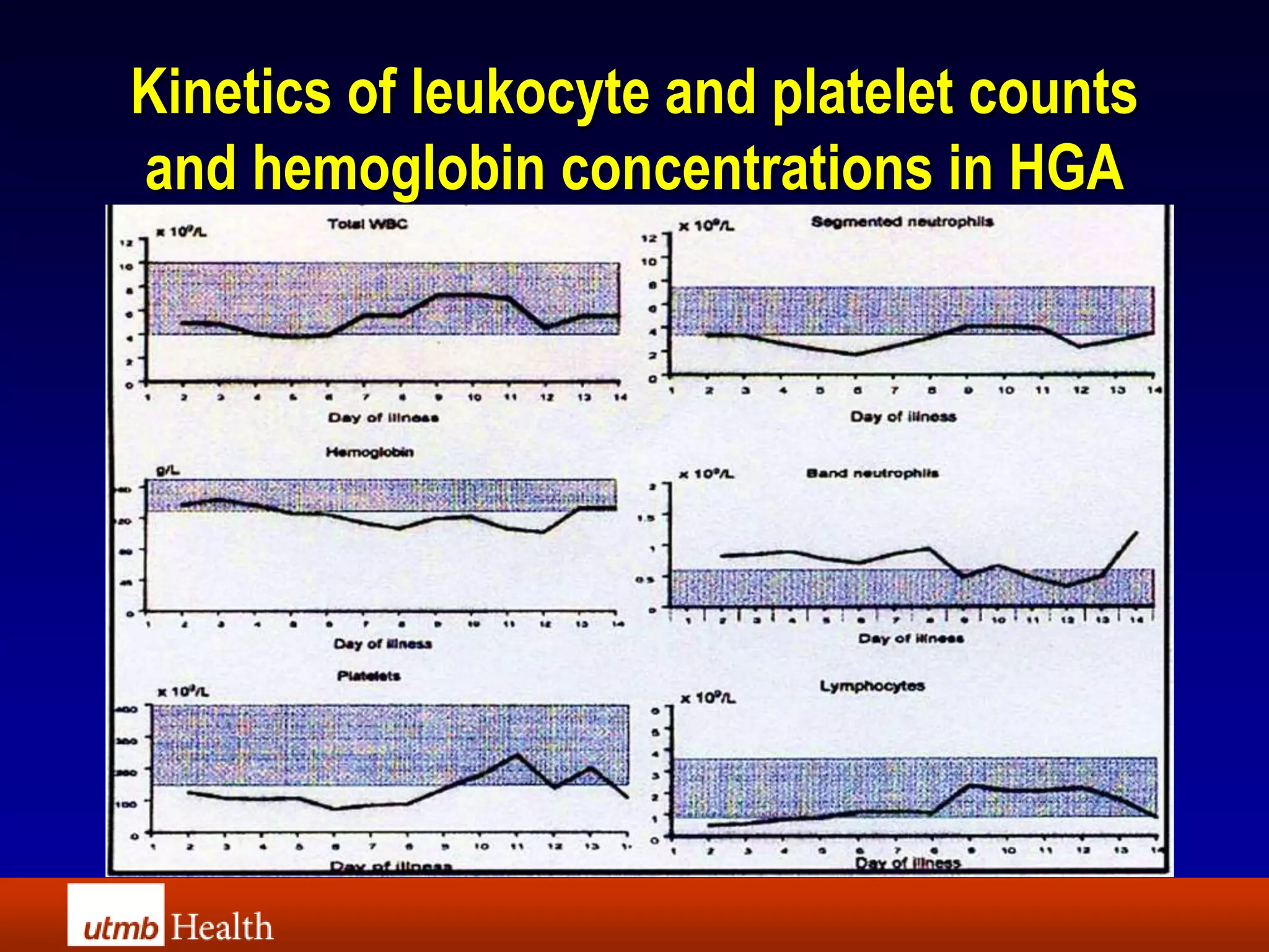 Clinical Manifestation and Pathogenesis of Obligately Intracellular ...