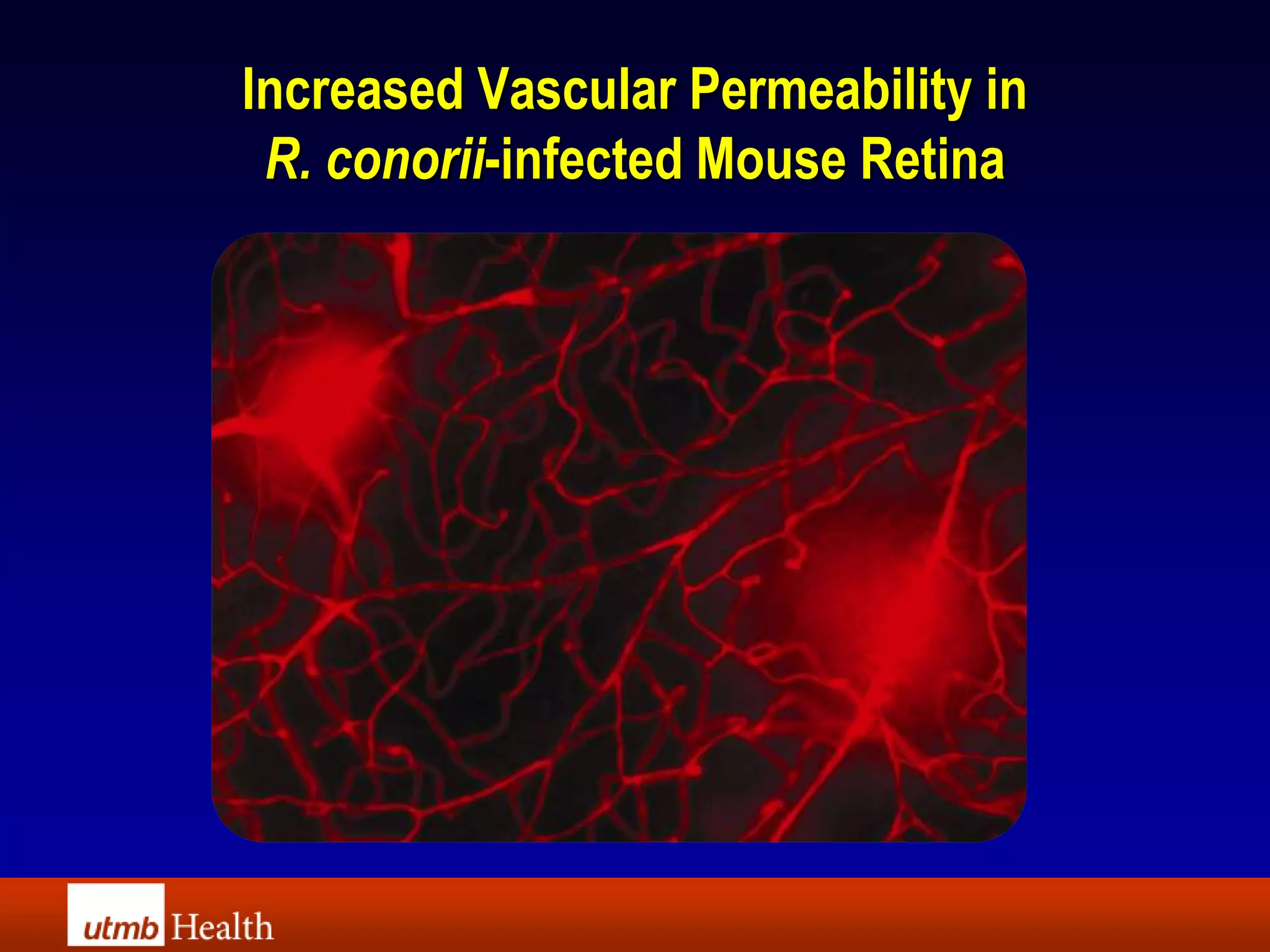 Clinical Manifestation and Pathogenesis of Obligately Intracellular ...