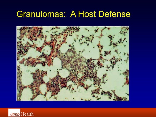 Clinical Manifestation and Pathogenesis of Obligately Intracellular ...