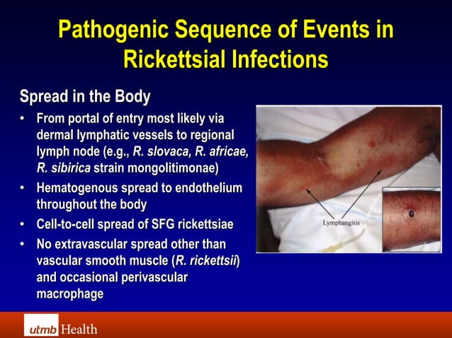 Clinical Manifestation and Pathogenesis of Obligately Intracellular ...