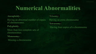 Clinical manifestations of chromosomes.pptx