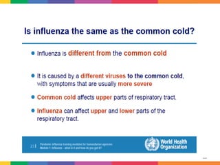 Clinical manifestations of influenza | PPT