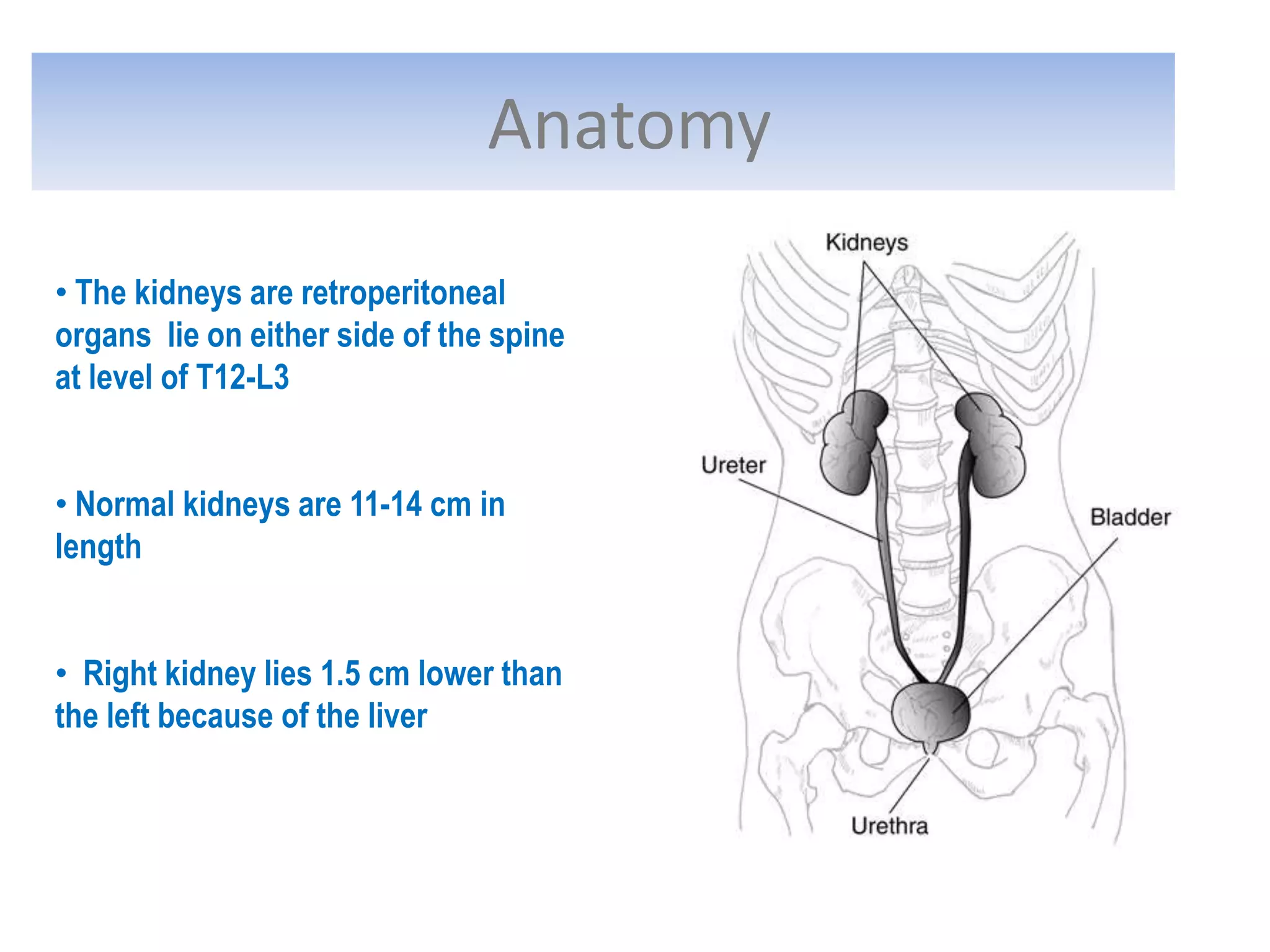 Clinical manifestations of_renal_diseasesffff - copy (2) | PPTX