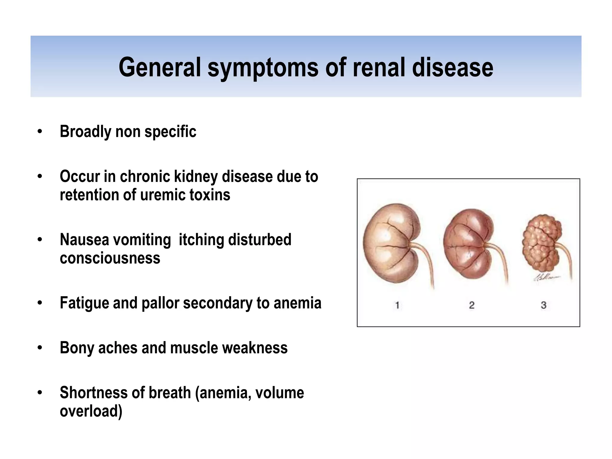 Clinical manifestations of_renal_diseasesffff - copy (2) | PPTX