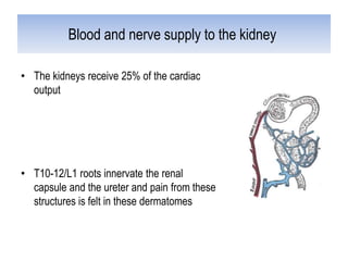 Clinical manifestations of_renal_diseasesffff - copy (2) | PPTX