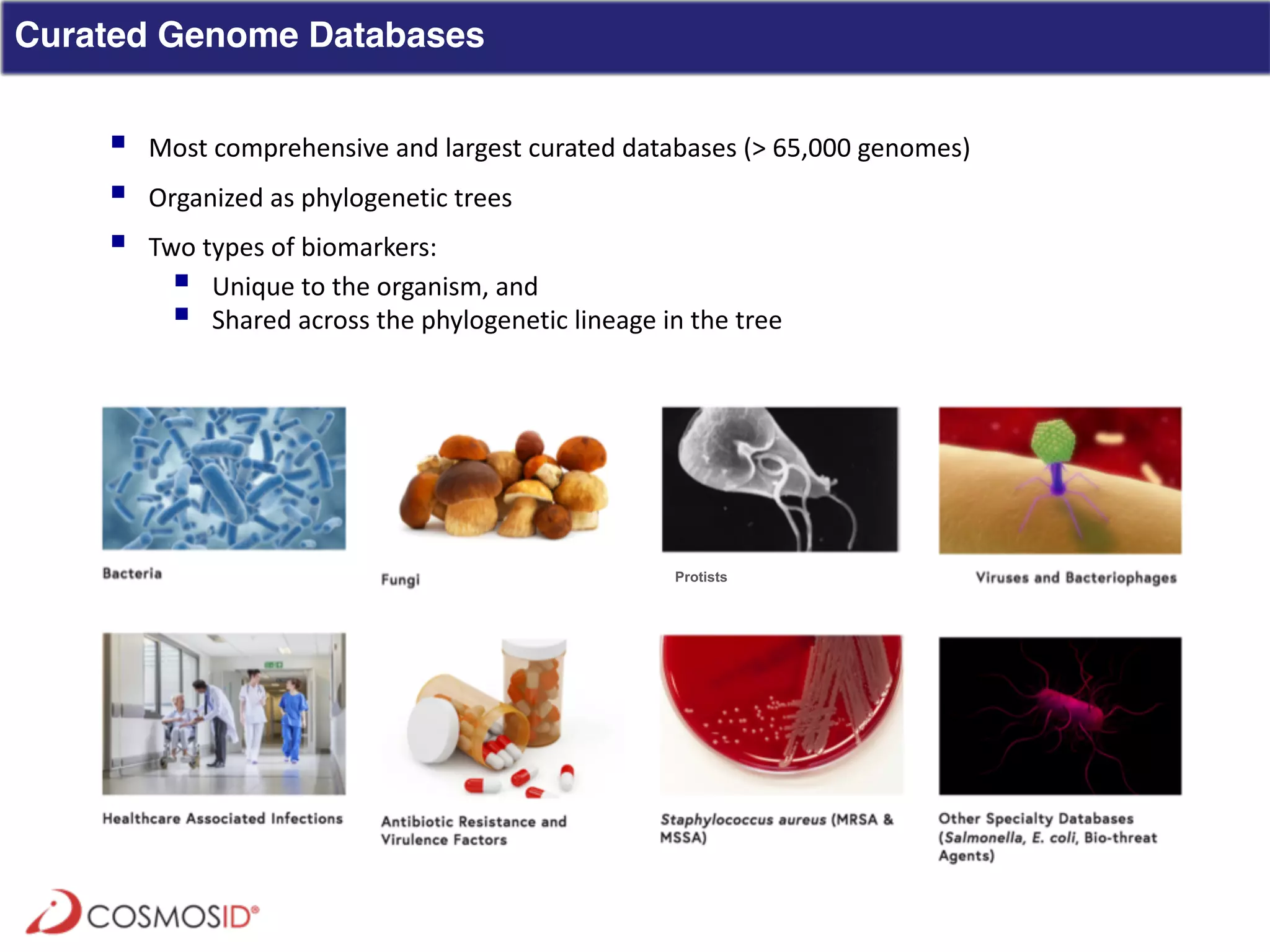 Clinical Metagenomics for Rapid Detection of Enteric Pathogens and ...