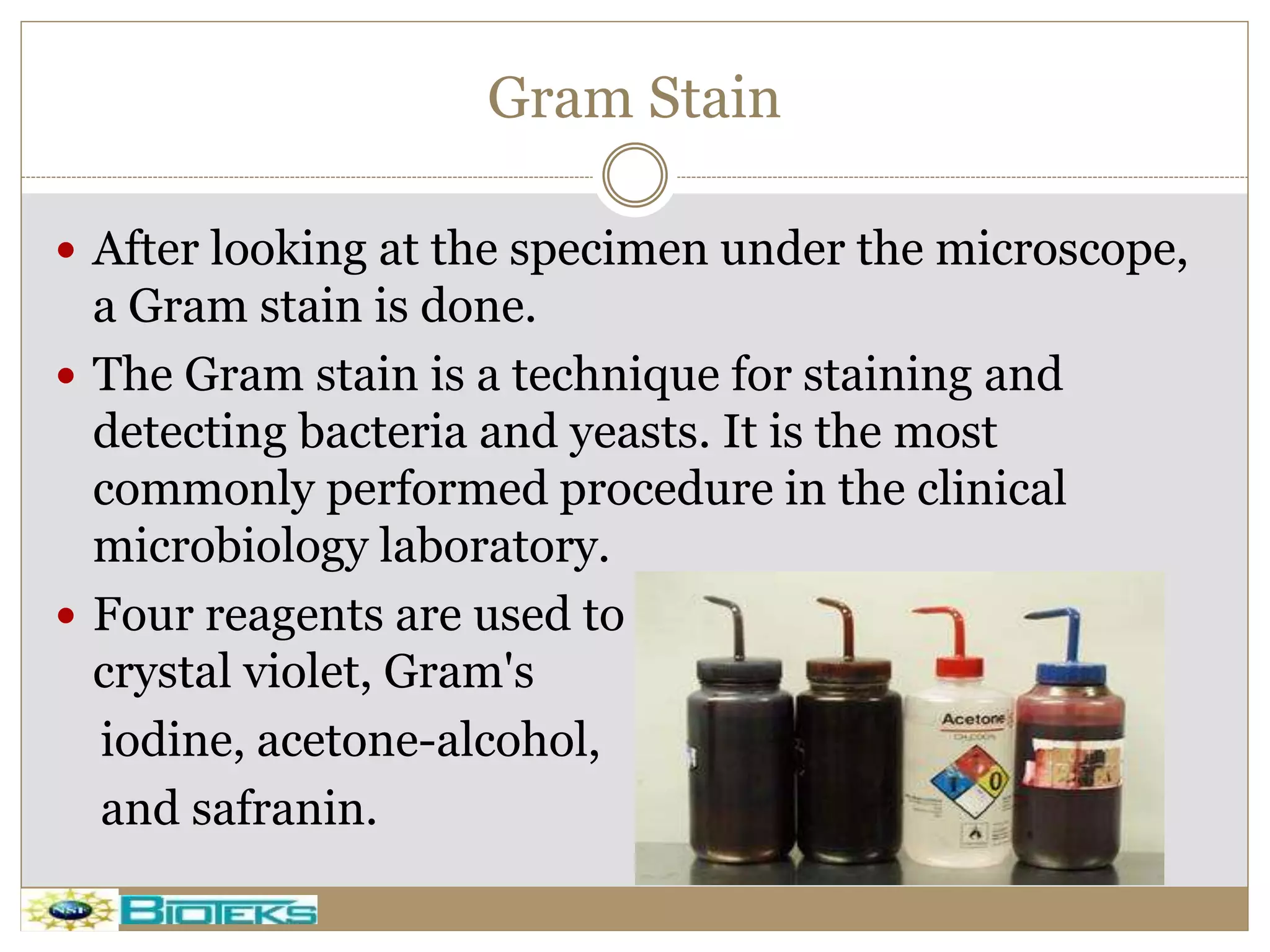 Clinical Micro.pptx