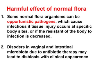 clinical microbiology | PPT