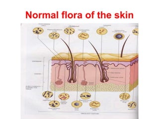 clinical microbiology | PPT