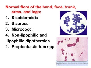 clinical microbiology | PPT