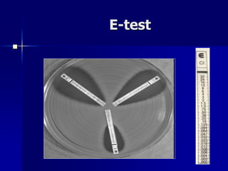 Clinical microbiology dr. d.p. rajani | PPT