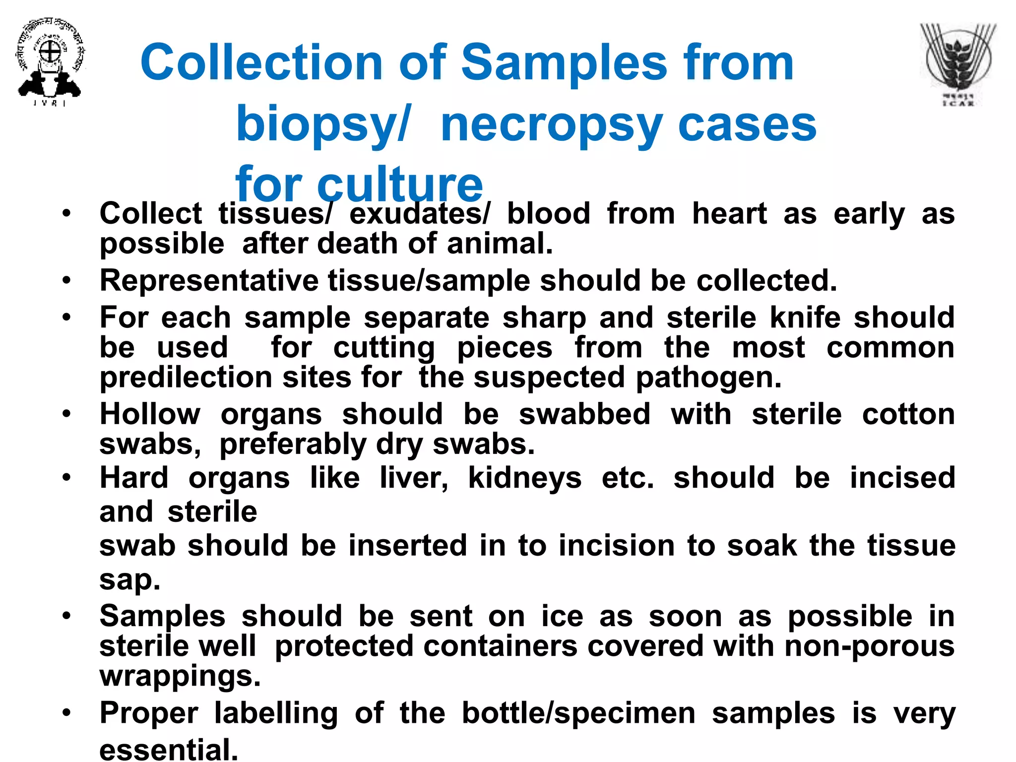 clinicalmicrobiologyinlaboratory-220420045009.pptx