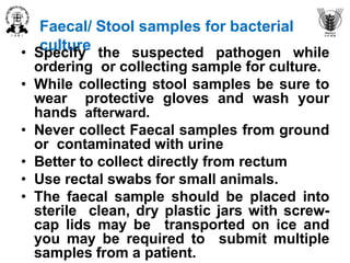 clinicalmicrobiologyinlaboratory-220420045009.pptx