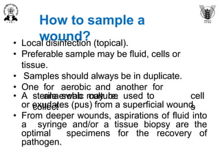clinicalmicrobiologyinlaboratory-220420045009.pptx