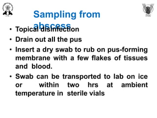 clinicalmicrobiologyinlaboratory-220420045009.pptx