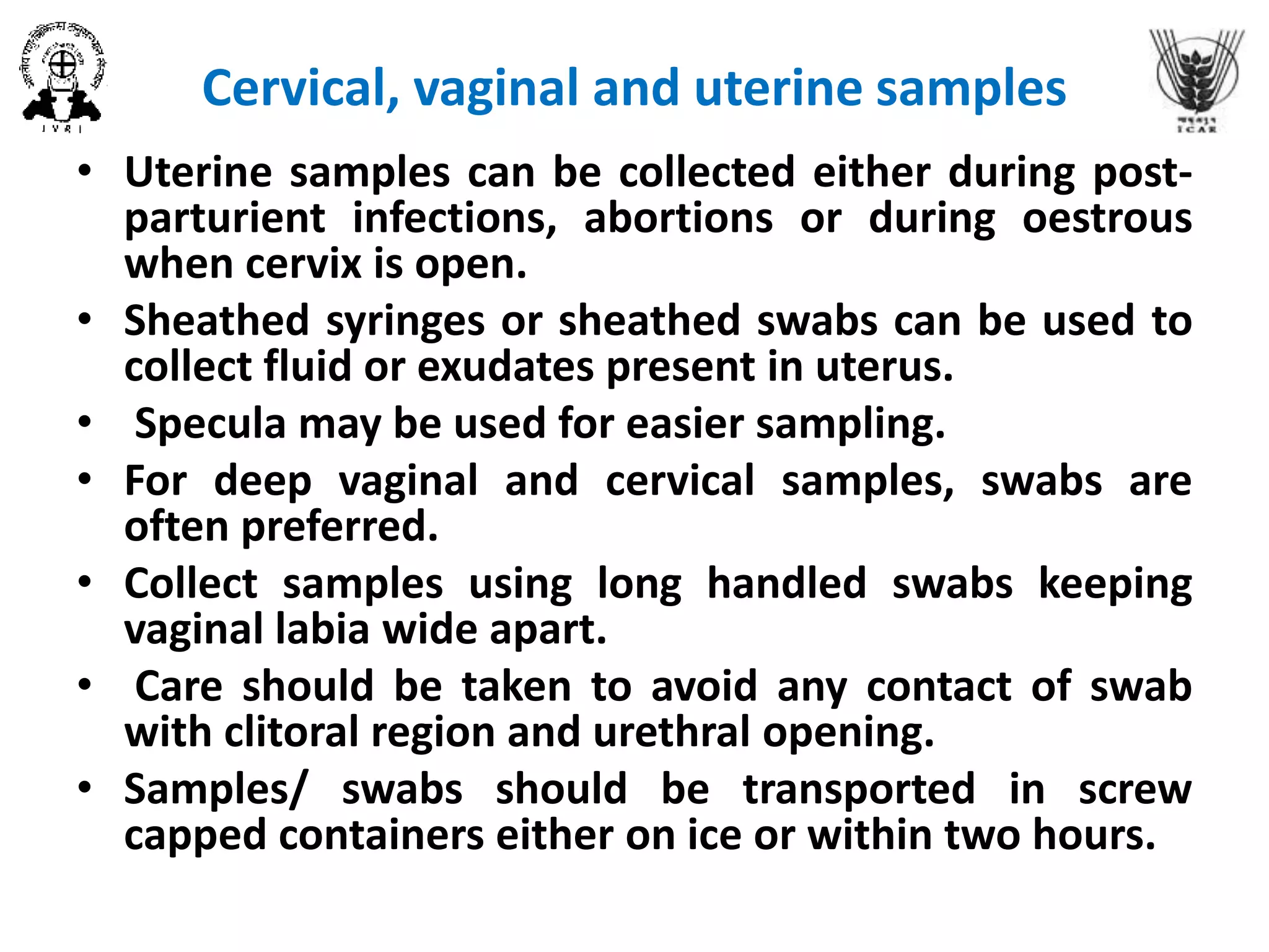 Clinical Microbiology in Laboratory | PPTX