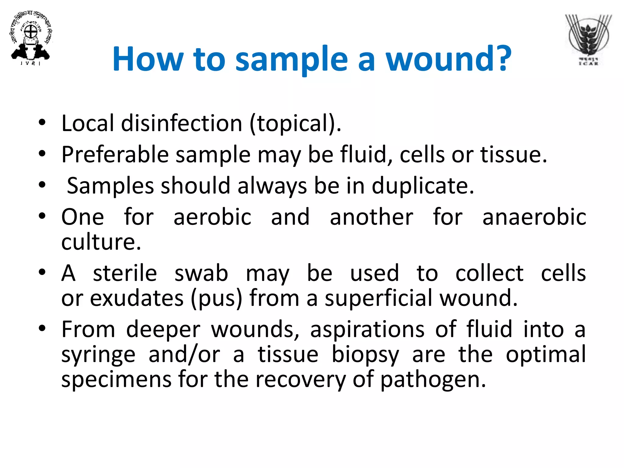 Clinical Microbiology in Laboratory | PPTX